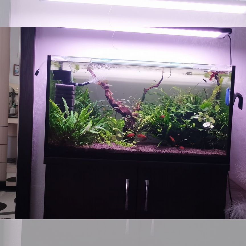 Аквариум с тумбой бу