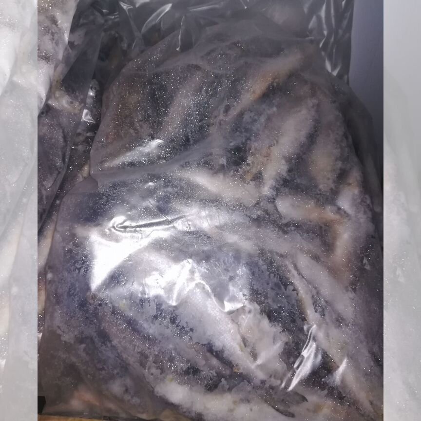 Мелочь речная