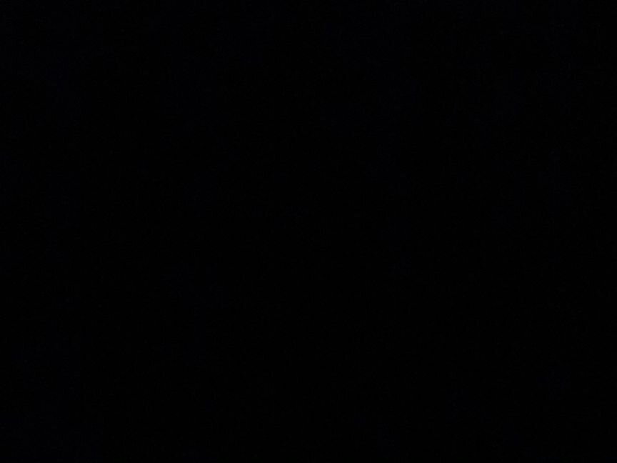 Отлам котенка в добрые руки