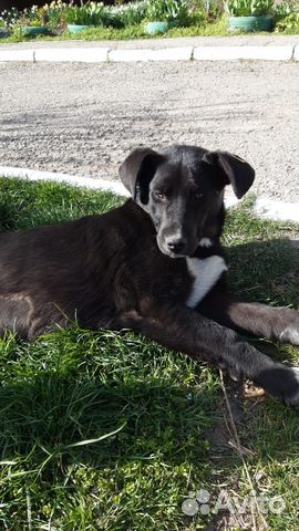 Лина и Боня