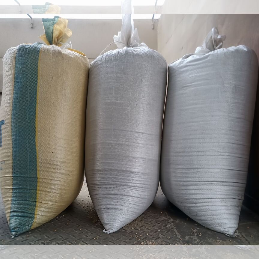 Зерно пшеница