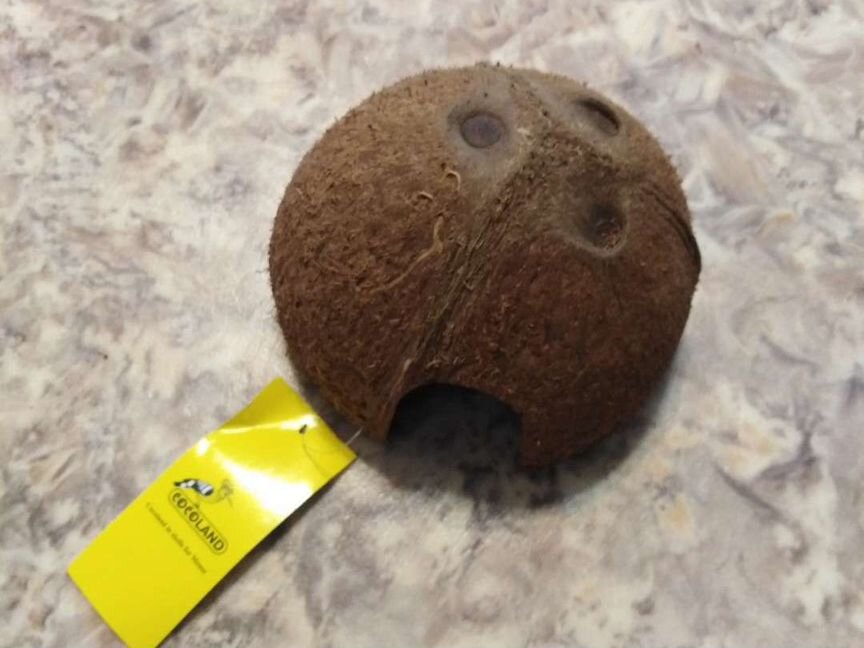 Кокос - укрытие, домик