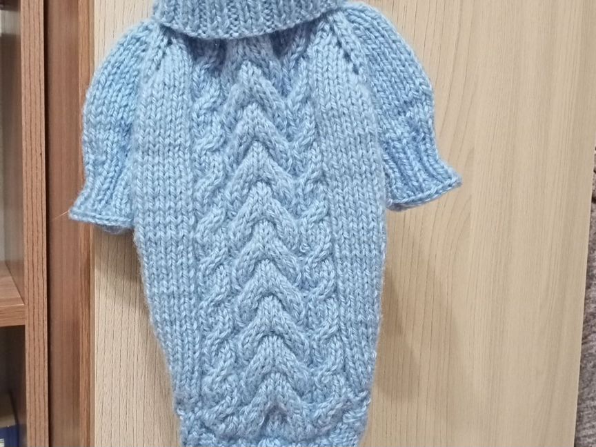 Комбинезон для собаки мелкой породы