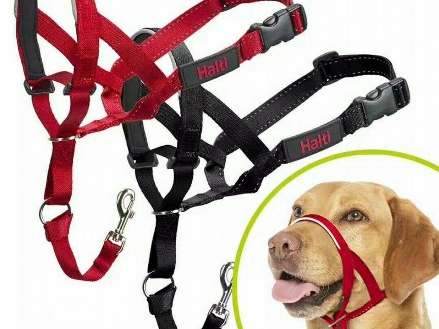 Недоуздок для собак Halti (халти) размер 3