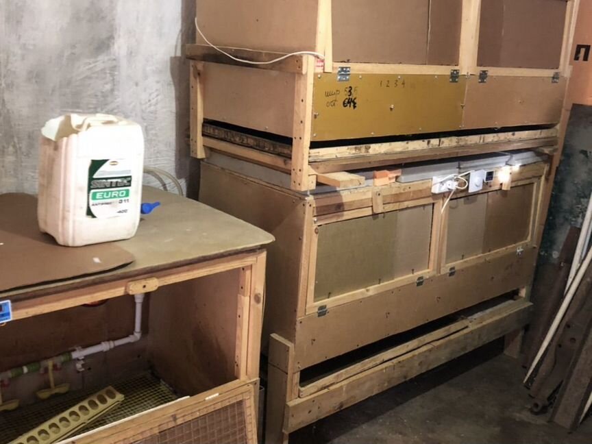 Брудер для птенцов, шпар-чан, инкубаторы