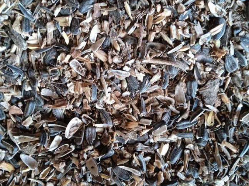 Отходы семечек