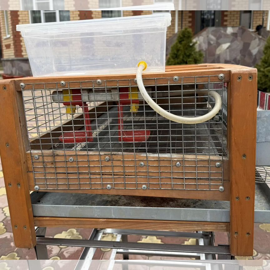 Клетка для перепелов