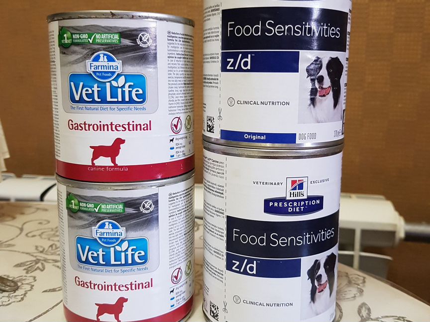 Влажный корм для собак