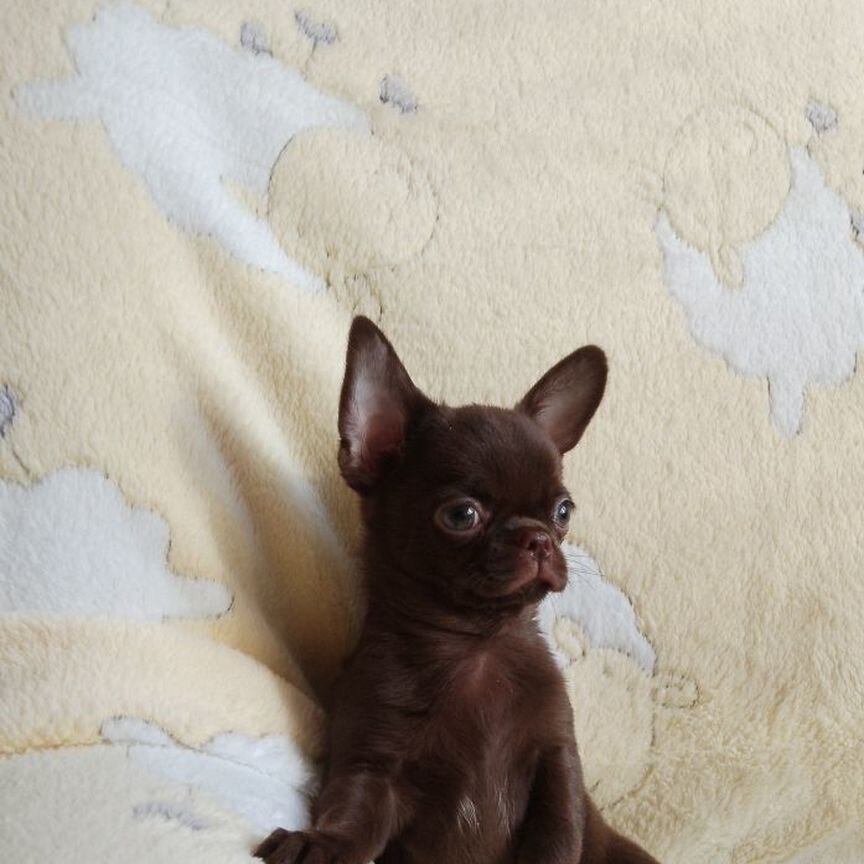 Позитивчик