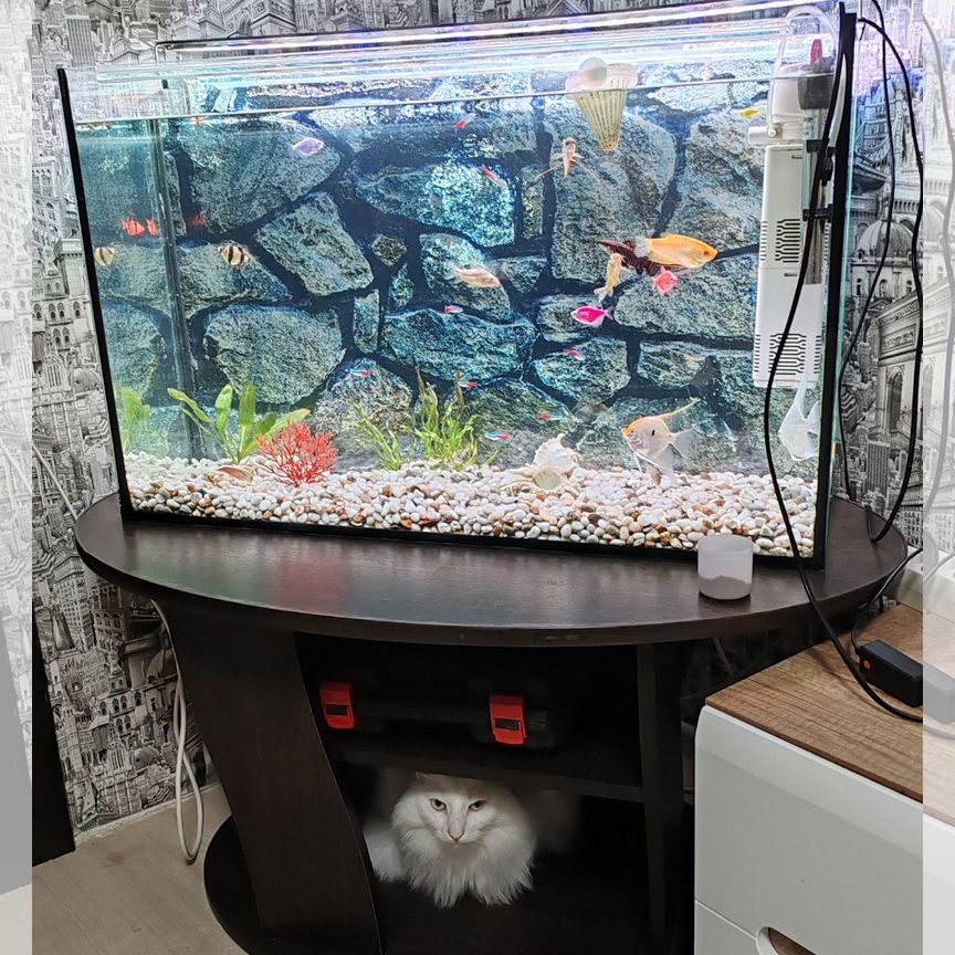 Аквариум с тумбой 120л