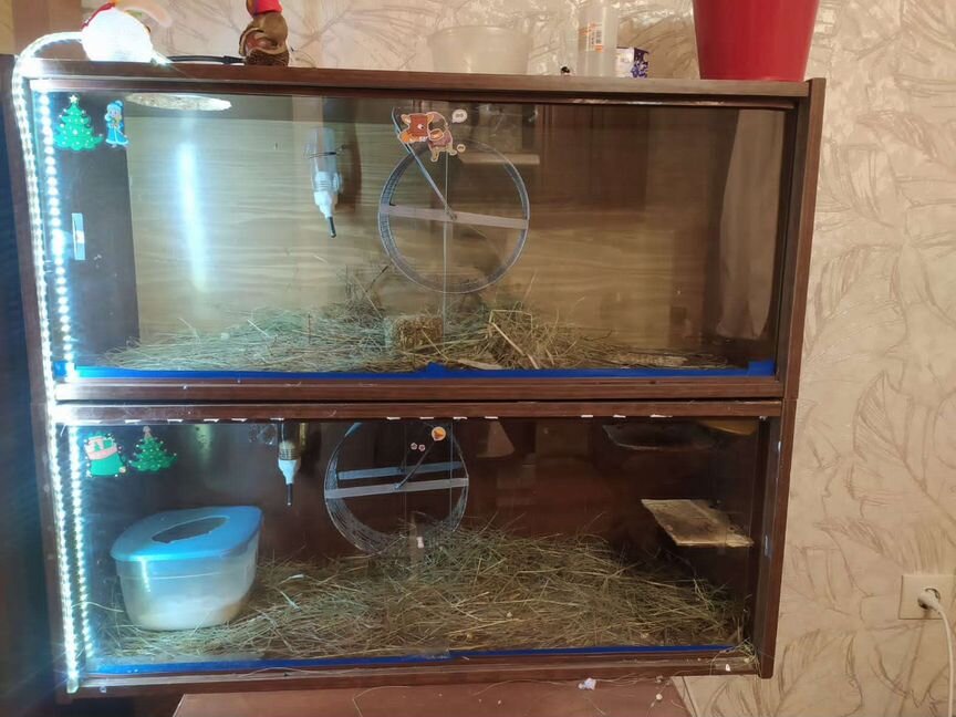 Витрина для грызунов бу