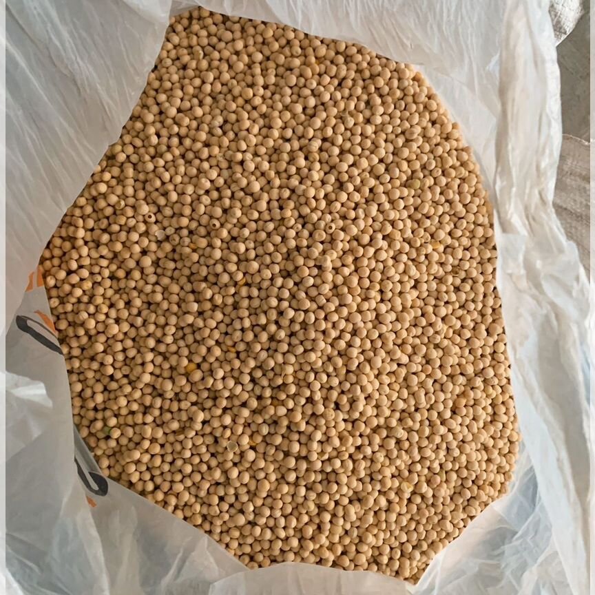 Обменяю на кукурузу,ячмень,пшеницу.или продам