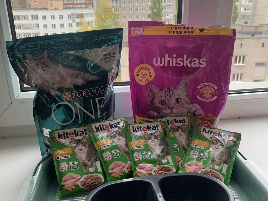 Лоток для кошек