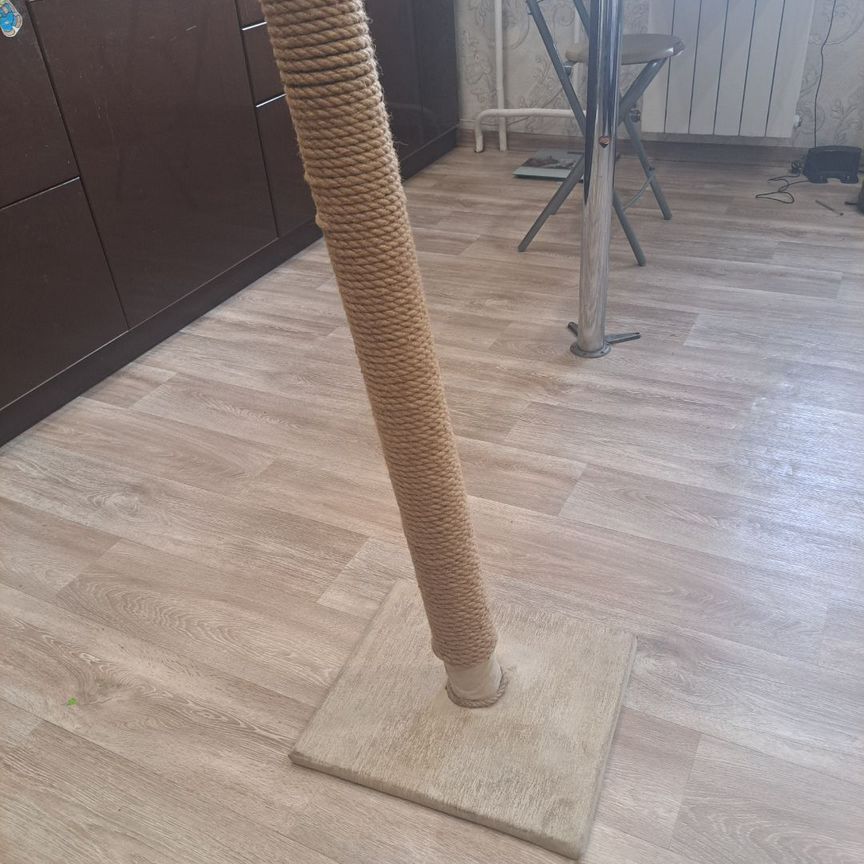 Когтеточка