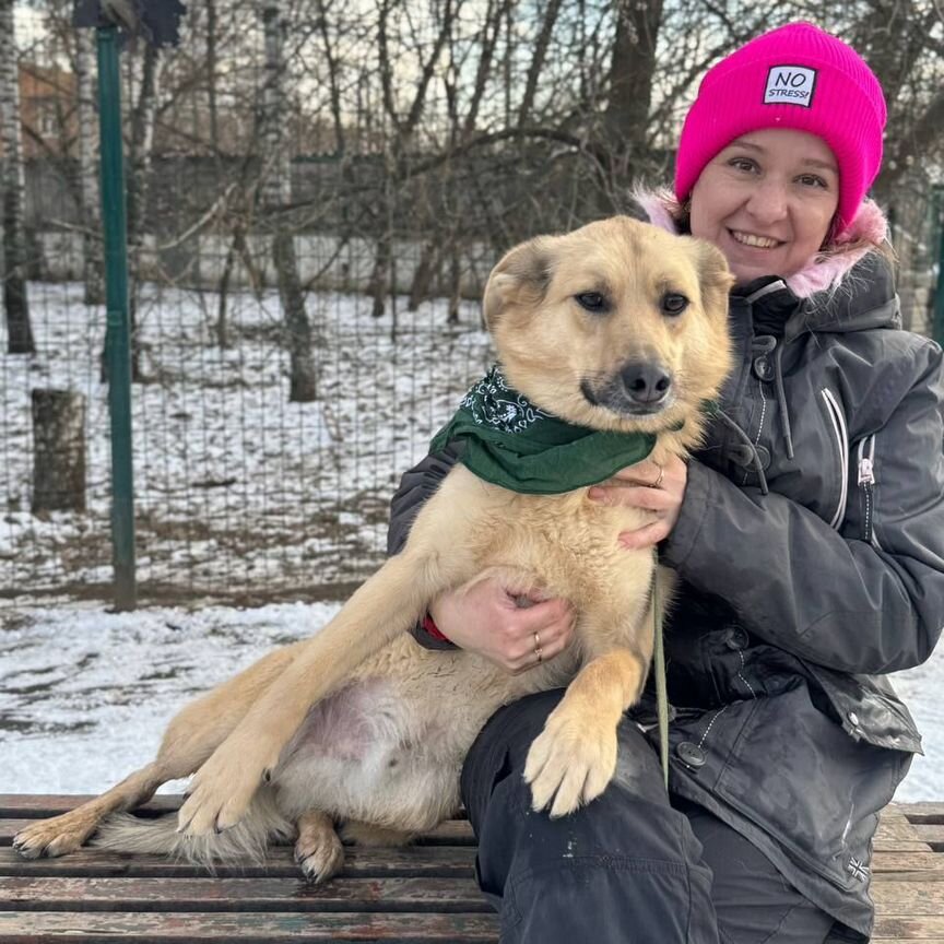 Небольшая собака в добрые руки
