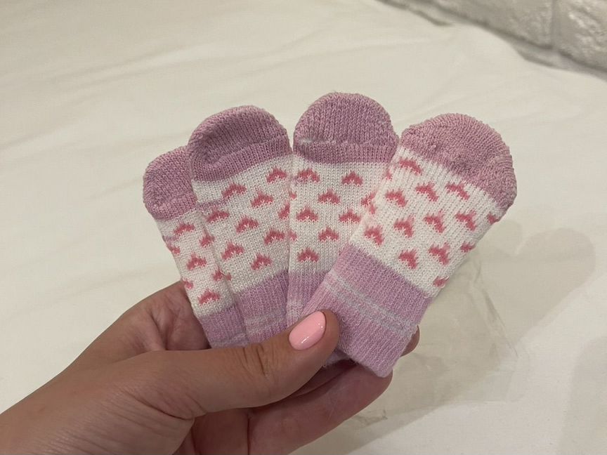 Носки для животных размера M