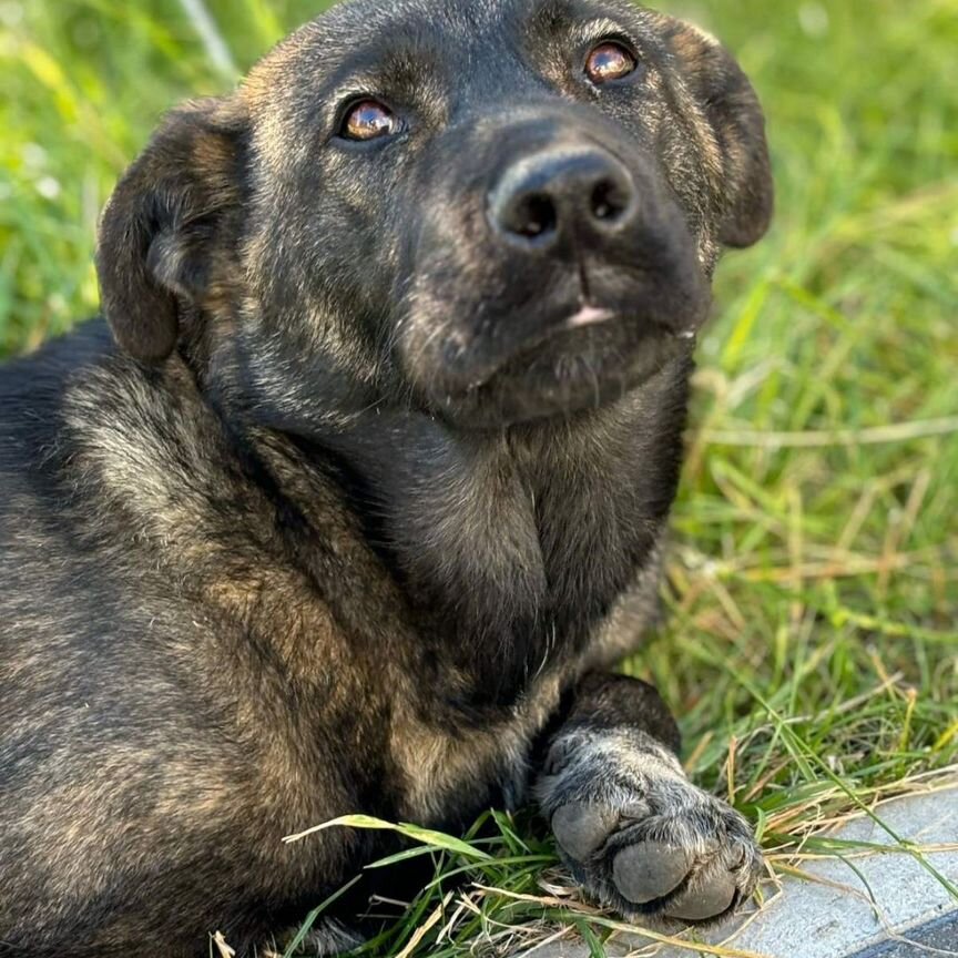 Парень ищет дом