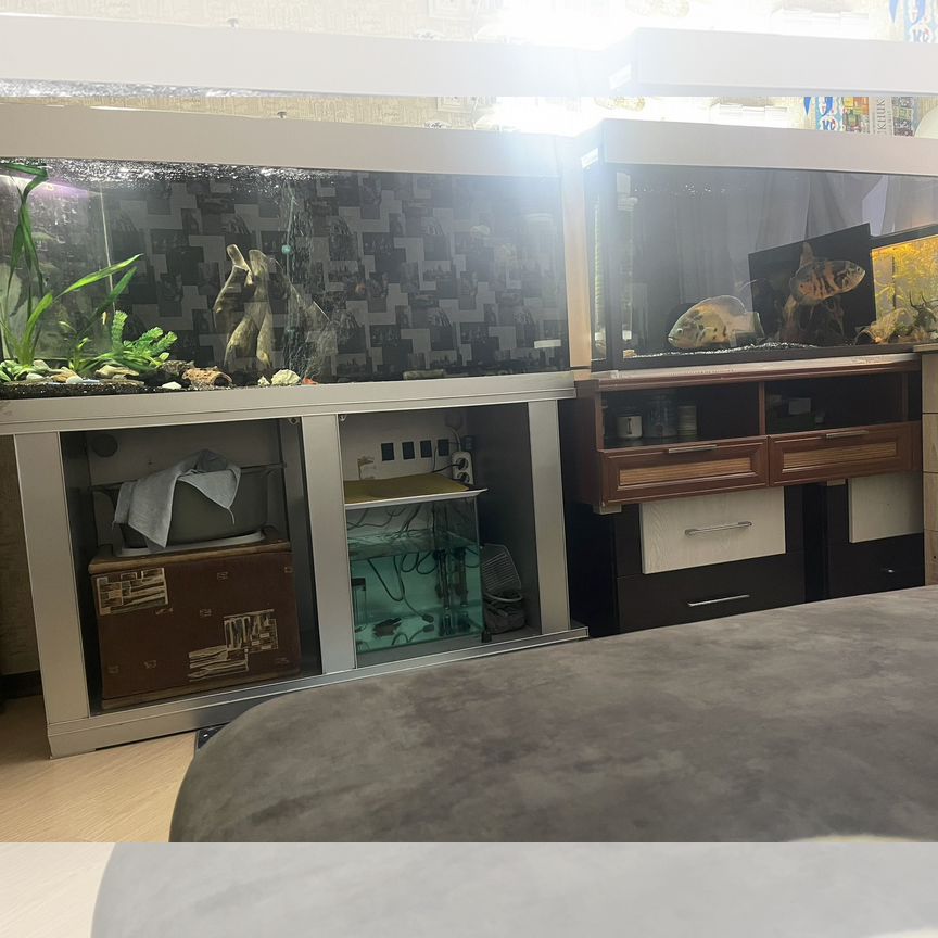 Аквариумы 360 и 410 л