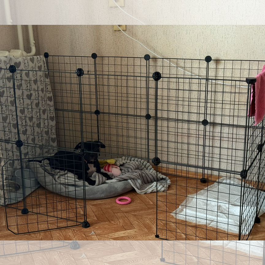 Вольер для щенков в квартиру