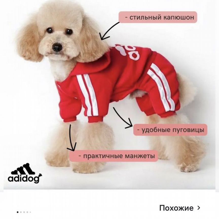 Одежда для собак мелких и средних пород