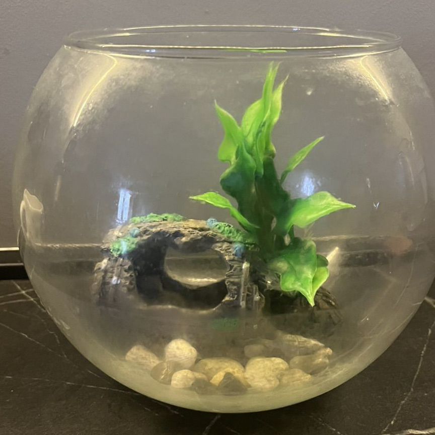 Аквариум для рыбки