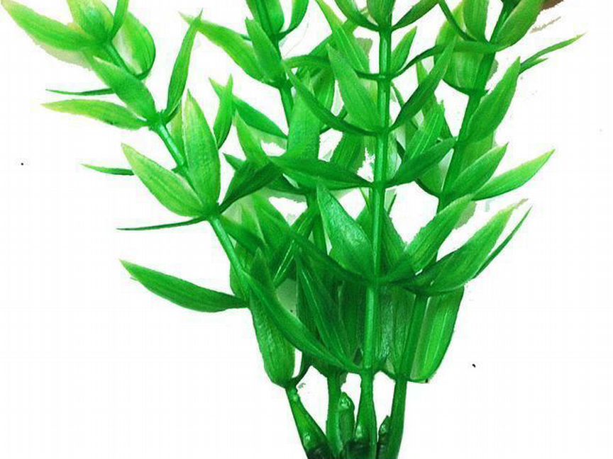 Уют вк101 Растение Гетерантера зеленая с розовыми