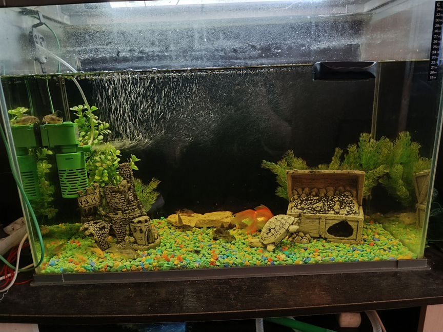 Аквариум с рыбками