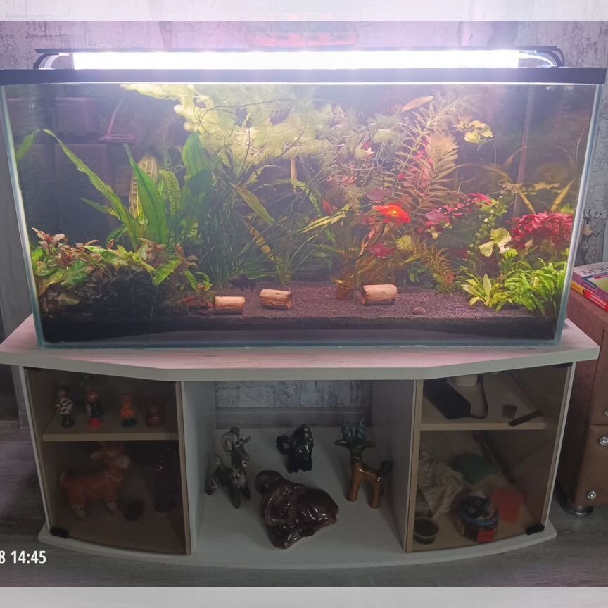 Аквариум 200 литров