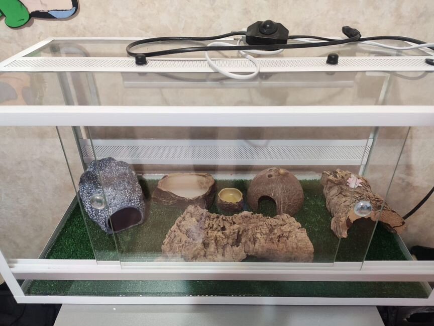 Террариум для рептилий с подсветкой