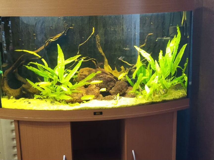 Аквариум с рыбками бу