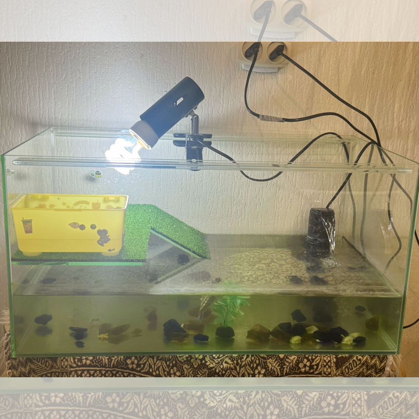 Продам аквариум с черепашкой