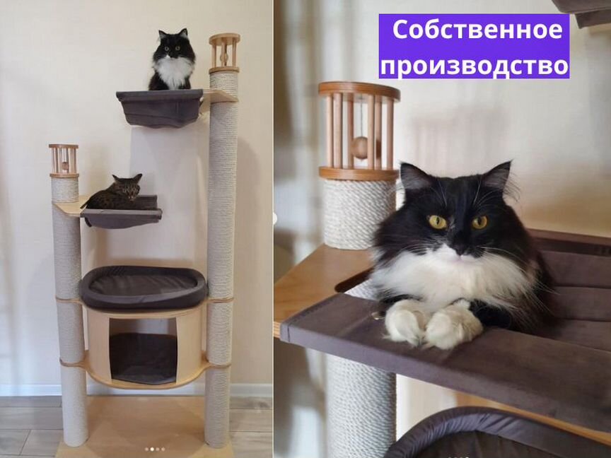 Когтеточка