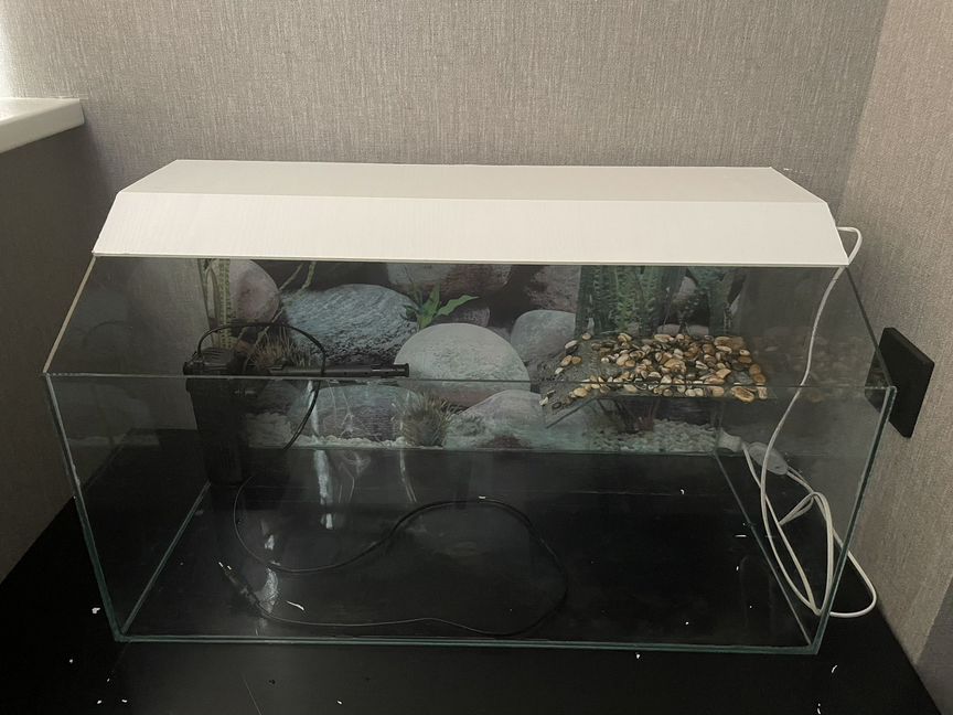 Терариум для черепах