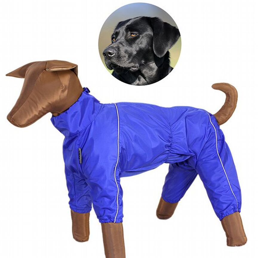 Комбинезон для собаки утепленный для кобеля