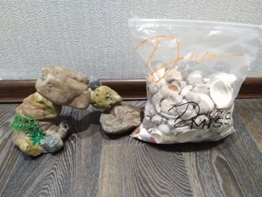 Отдам грот и ракушки за
