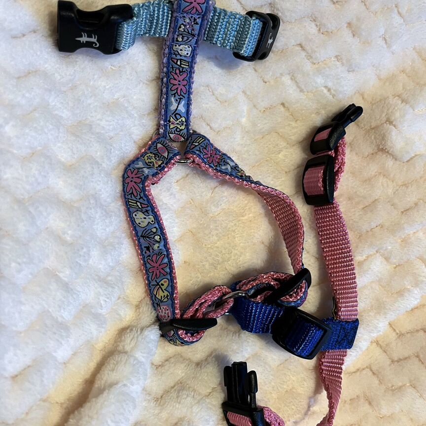 Шлейка Шарик (sharik dog) анатомическая для мелких