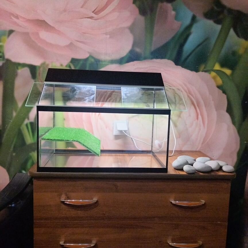 Террариум для черепахи