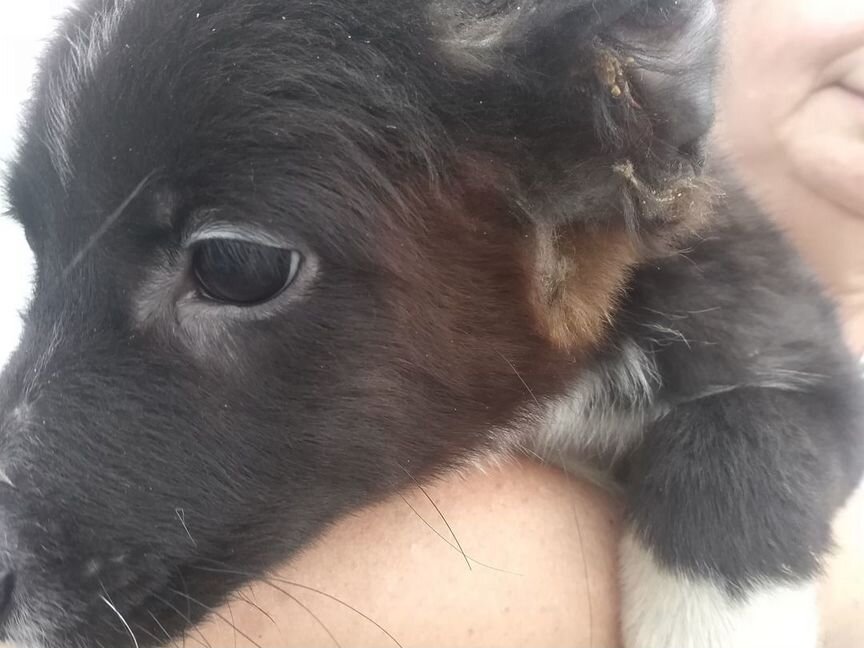 Кнопа будет маленькой