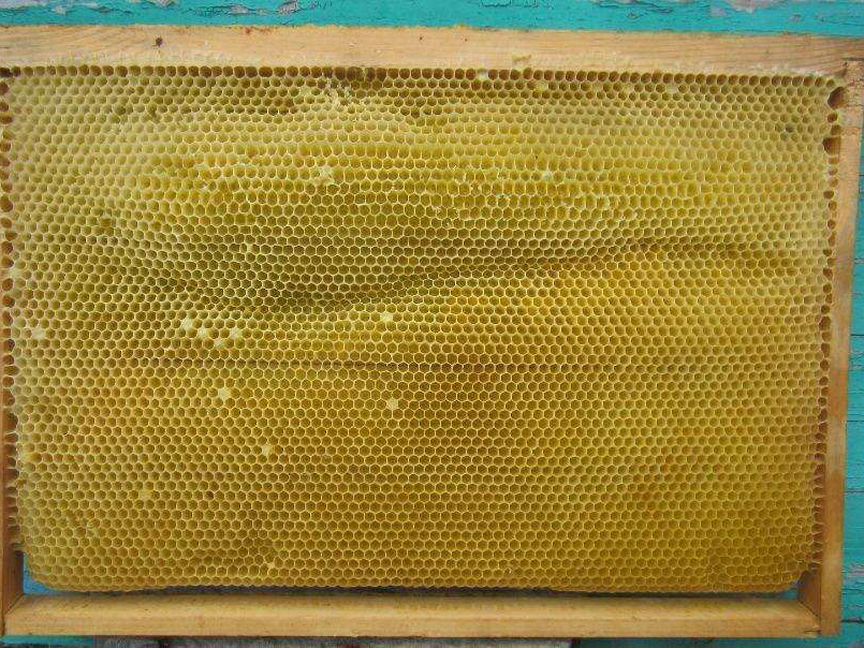 Рамки с вощиной