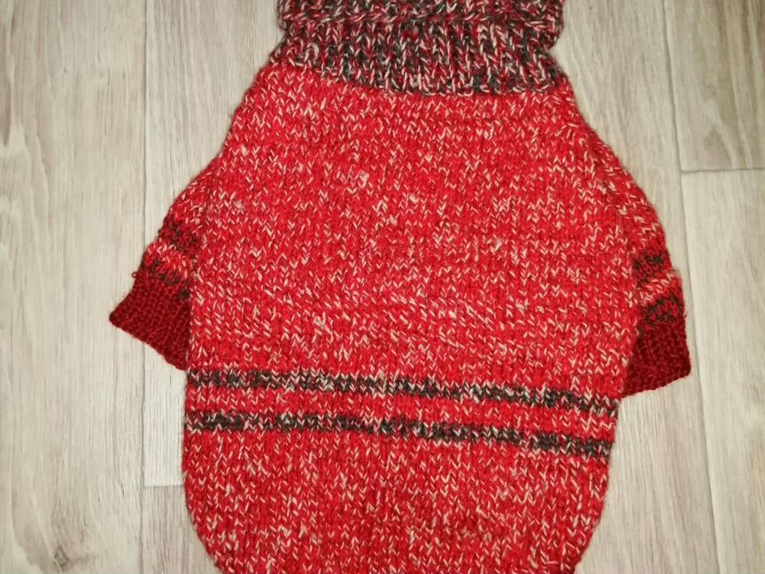 Свитр для собаки на Джек рассела