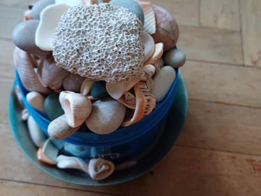 Морские ракушки камушки