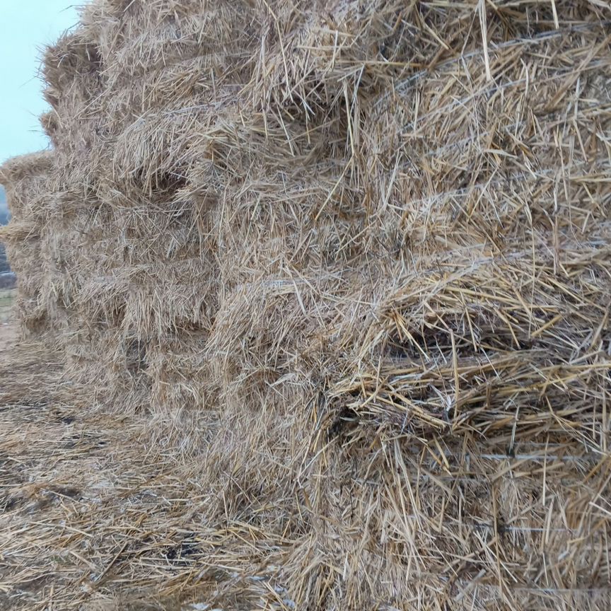 Сено в рулонах