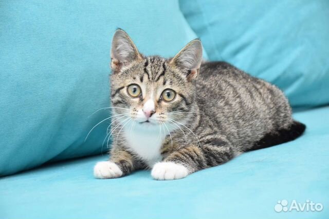 Маленький мальчишка