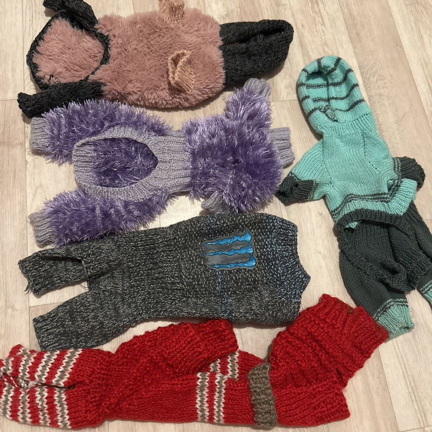 Одежда для собак 2,5-3кг бесплатно