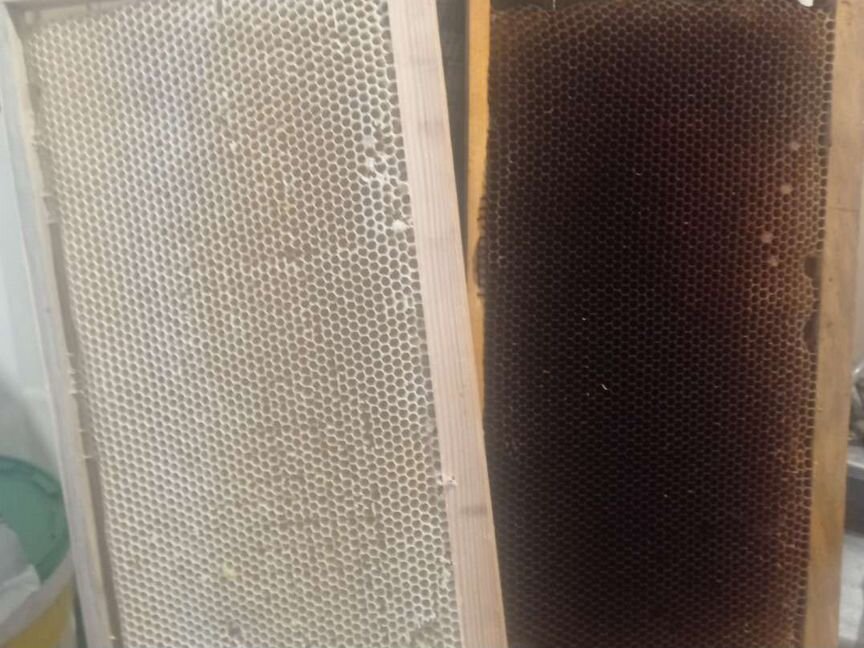 Сушь Рутовская