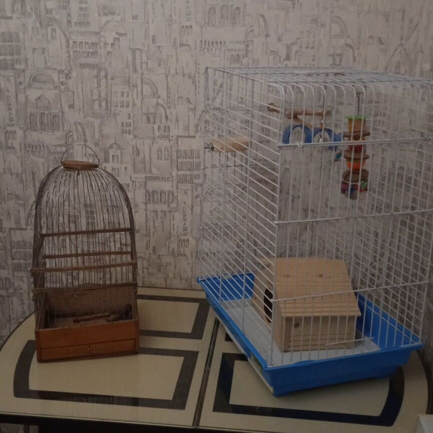 Клетки для птиц