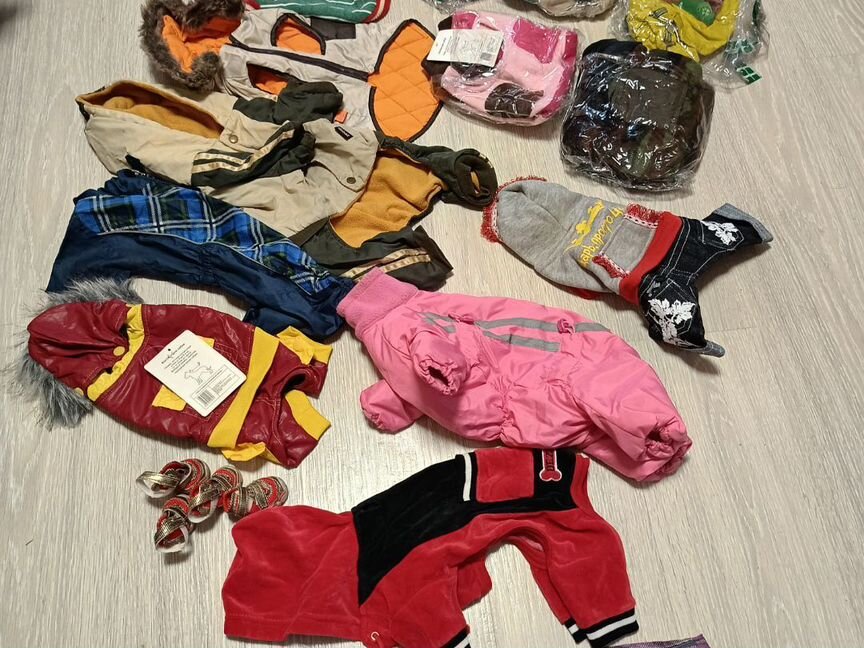 Вещи на собаку