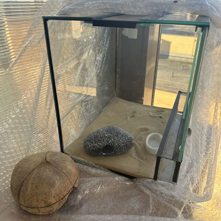 Террариум для ящерицы