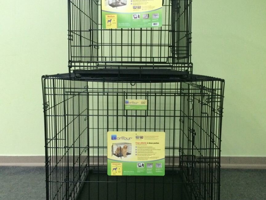 Клетки в аренду для собак и кошек