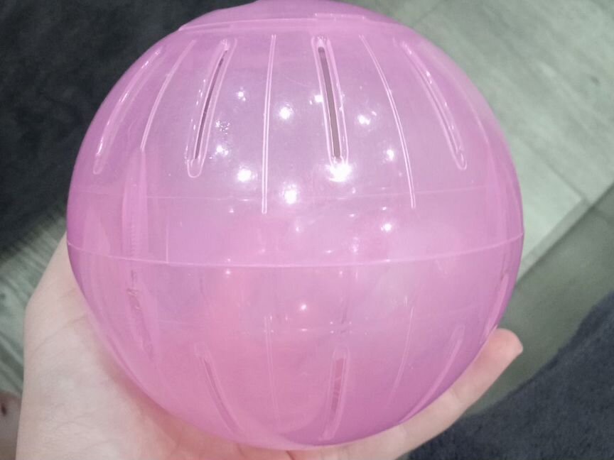 Шар для хомяков